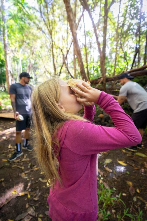 Planning Your Kona Big Island Tour - Aloha Adventure Farms