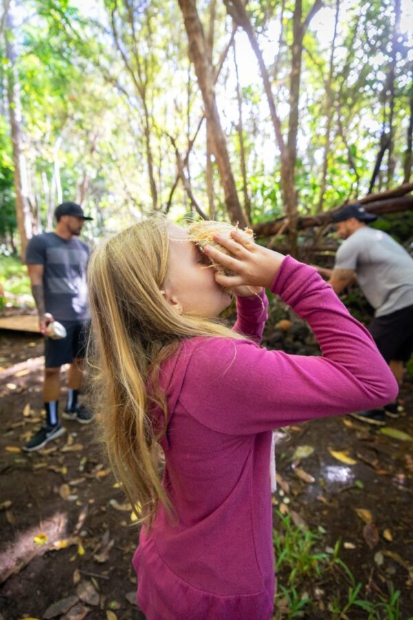 Planning Your Kona Big Island Tour - Aloha Adventure Farms