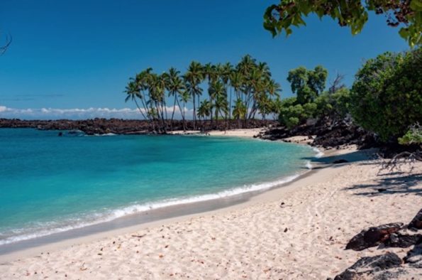 Best Things to Do in Kona Hawaii - Aloha Adventure Farms