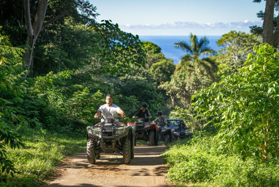 Big Island Local Favorites: 4 Adventures You Don’t Want to Miss