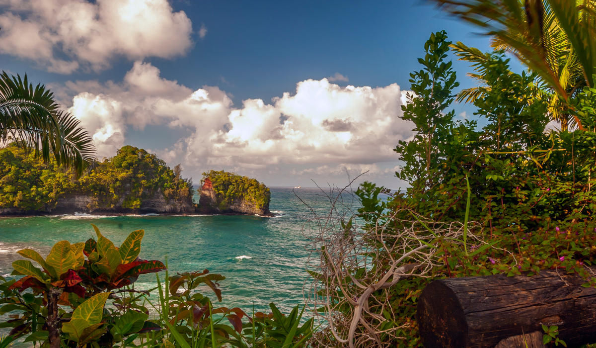 Your Guide to the Perfect Hawaii Spring Break - Aloha Adventure Farms