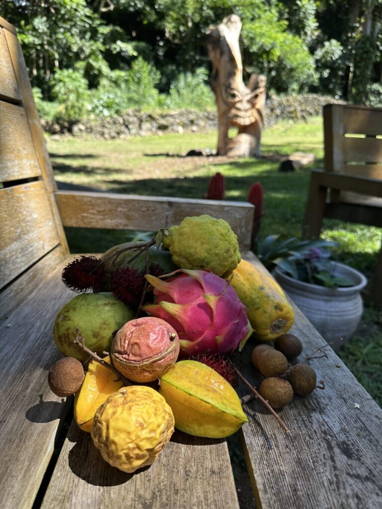 Hawaiian Exotic Fruit Tasting Tour - Aloha Adventure Farms